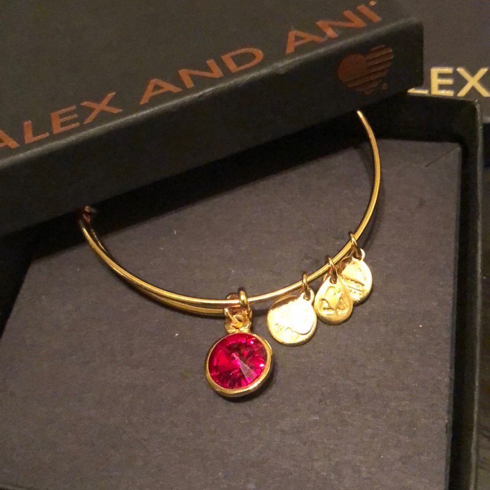 Alex And Ani Red Charm Energy Bracelet - Gem